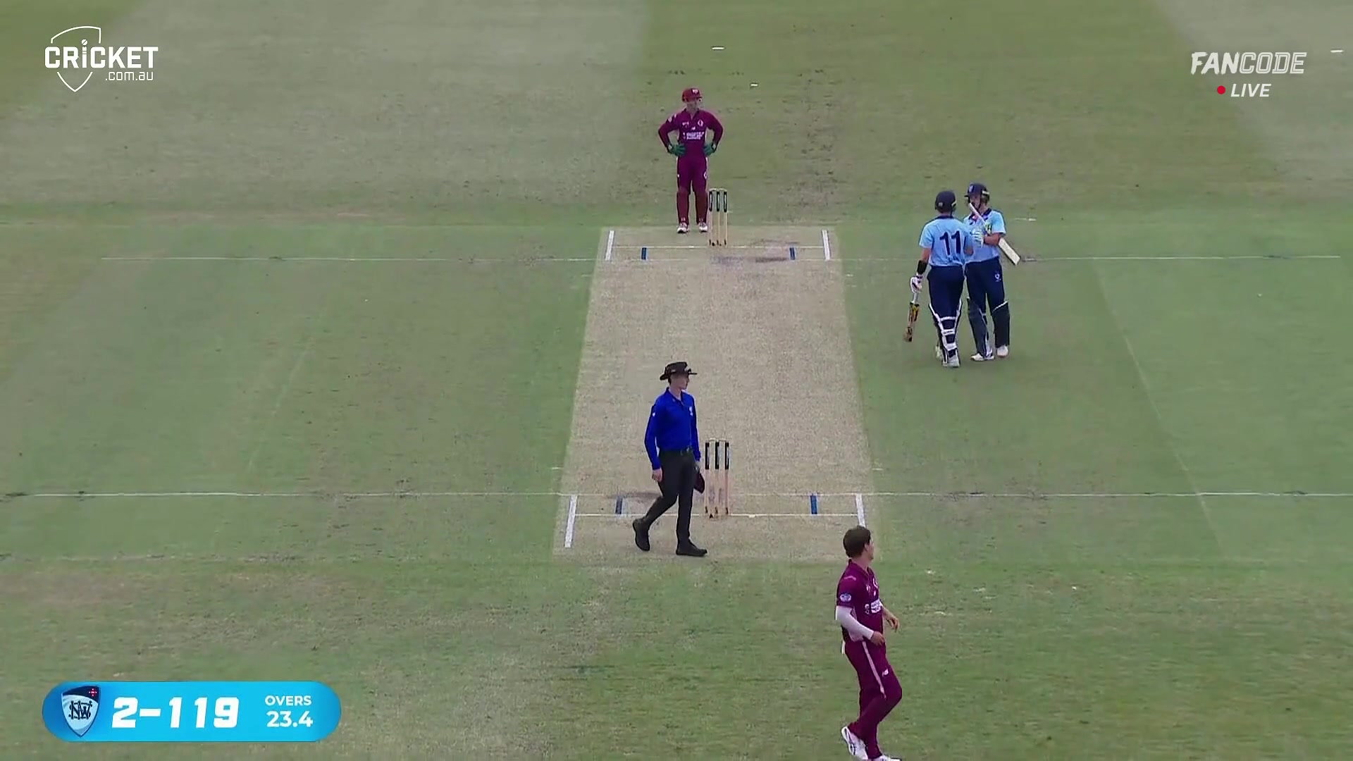 Fifty! Lachlan Shaw Marks His Half Century With A Glorious Boundary