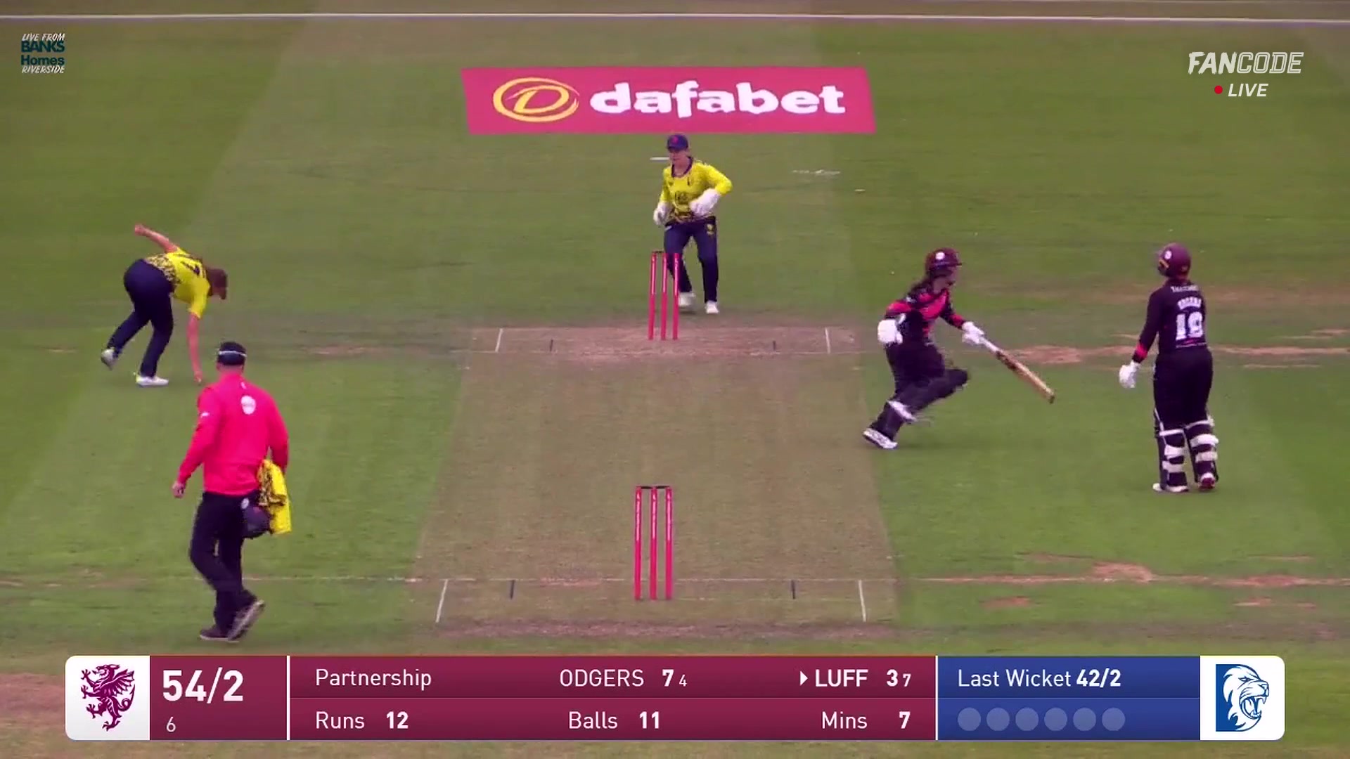 Wicket! A Big Miscommunication Leads To A Run Out, Sophie Luff Departs
