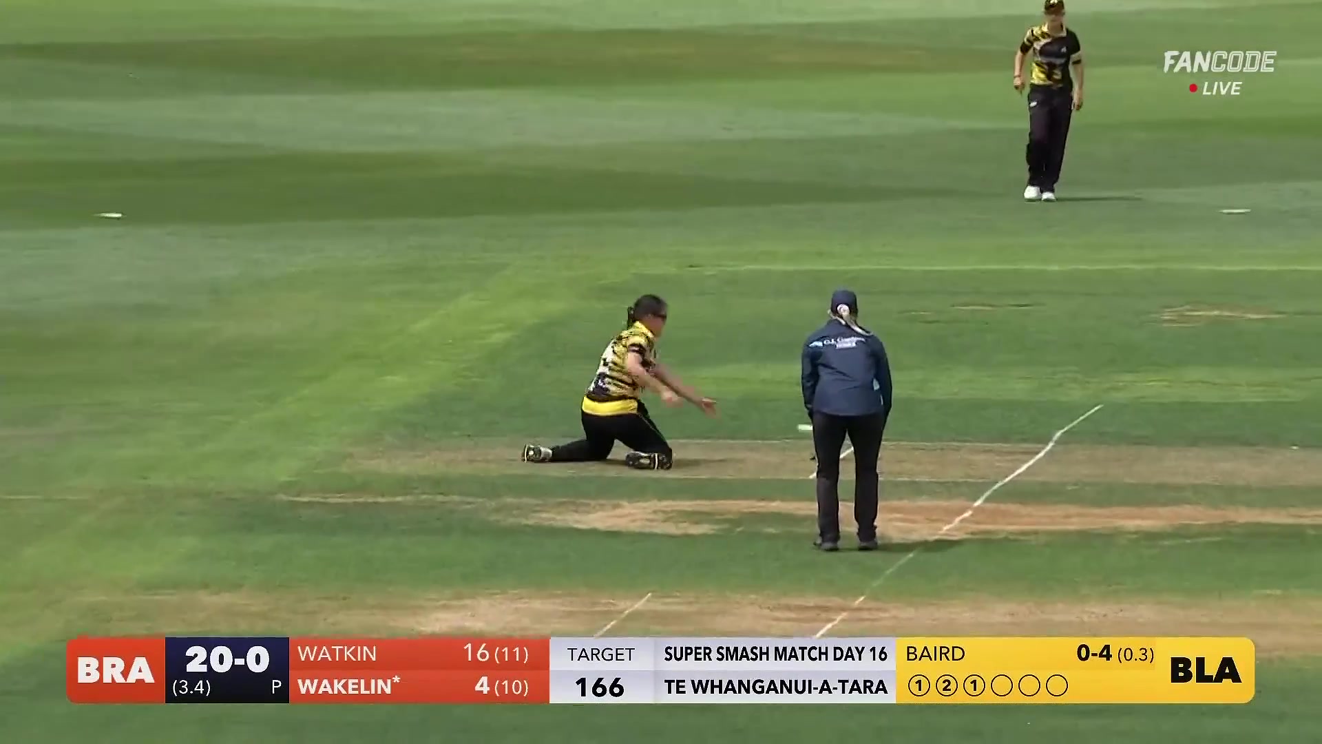 Wicket! Horrible Mix Up Between Wickets Sees Tash Wakelin Run Out