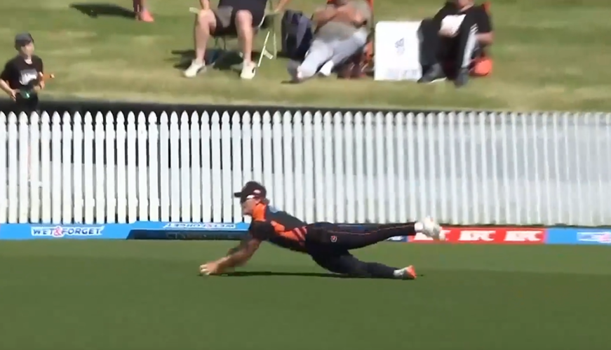 BLIMEY! Joshua Brown’s airborne brilliance at fine leg